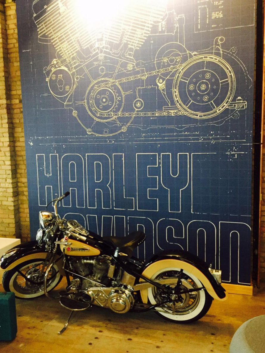 Star Signage + Display